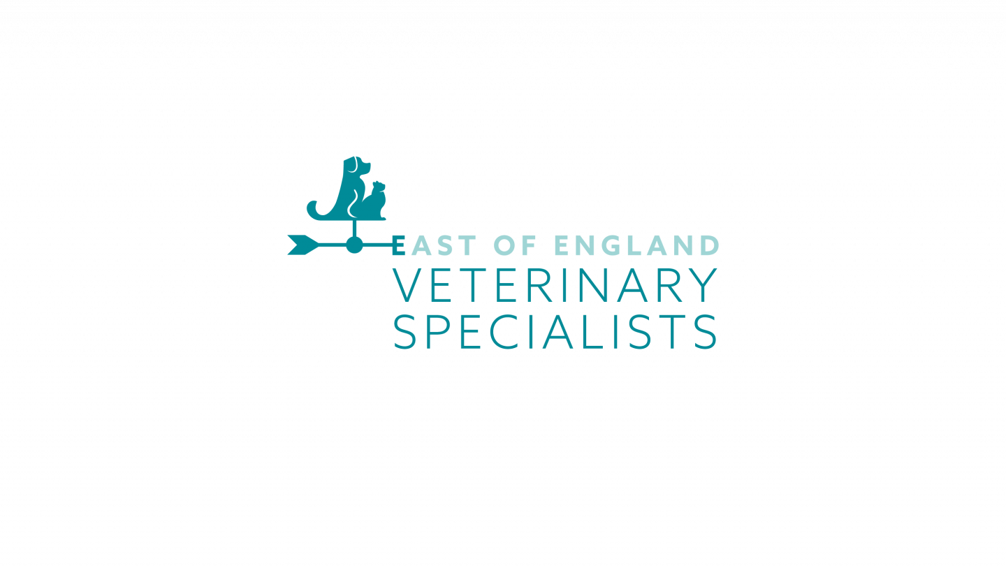 East of England Vets - Marketing Client - C4B Media