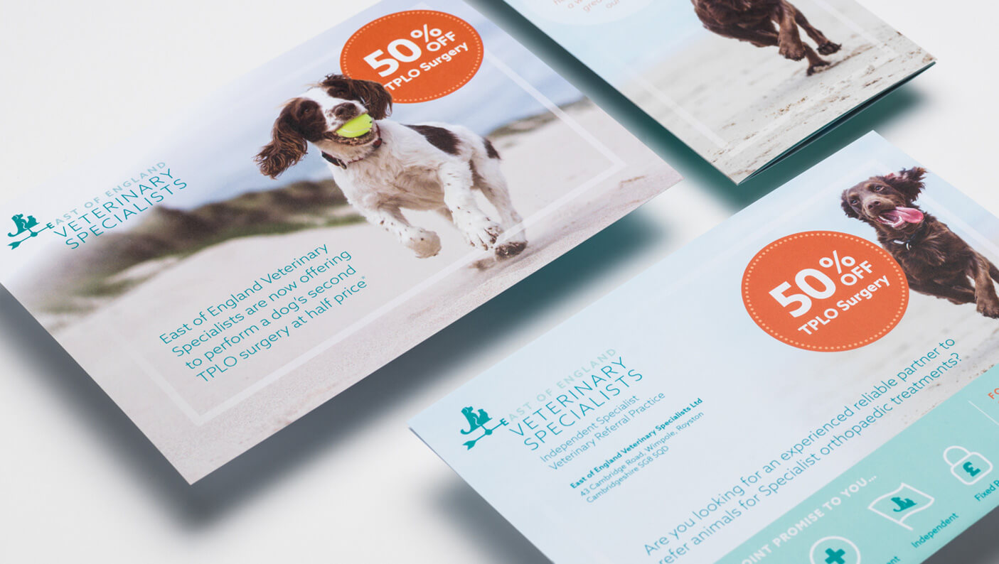 East of England Vets - Marketing Client - C4B Media